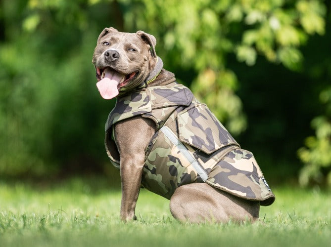 STAFFORDSHIRE TERRIER EXTRA WARM WINTER COAT - READY-MADE – Pepper Petwear